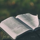 The LCMS Foundation | Home